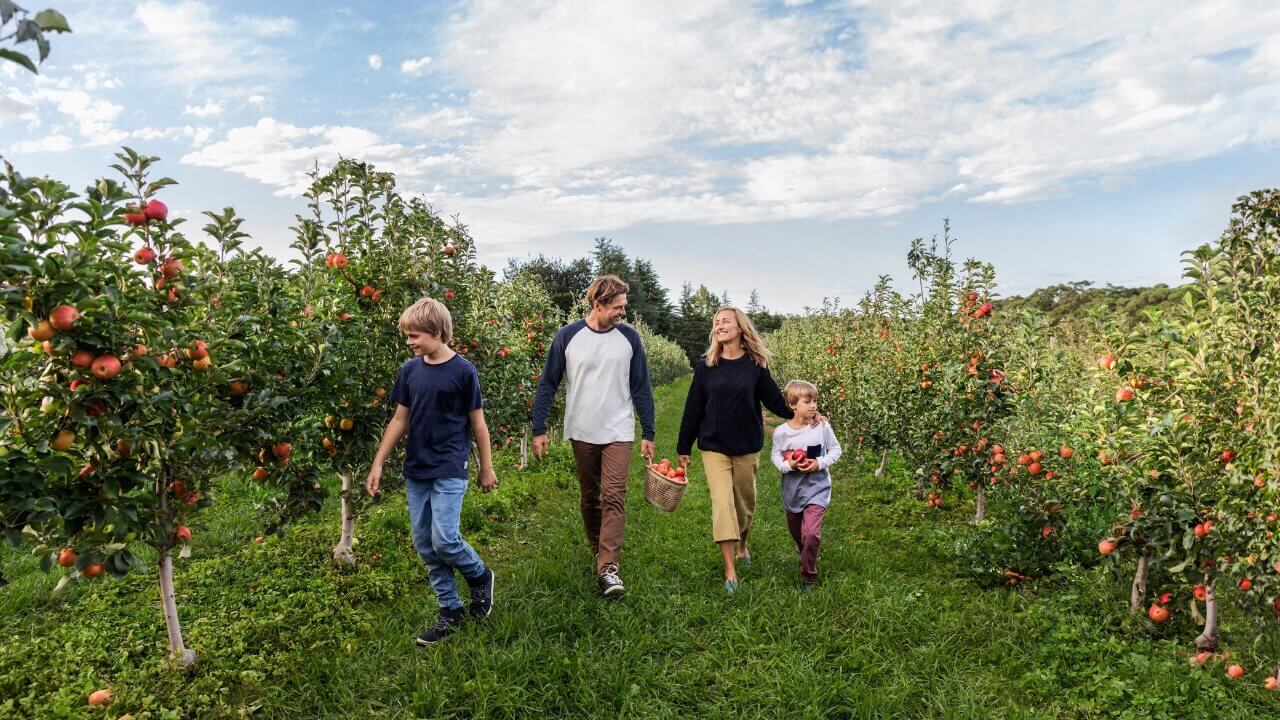6 Best Free Activities for Families with Kids